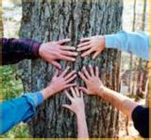 Social Stories in Special Education - Watson Institute